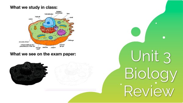 Biology - Unit 3 Review | Genially