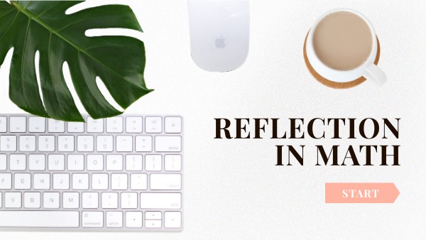 Reflection in Mathematics