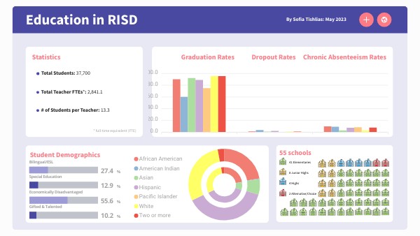 Journalism Final Project - Infographic (RISD)