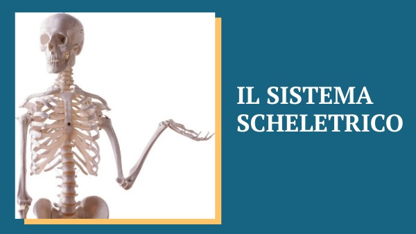 ANATOMY OF THE HUMAN BODY | Genially