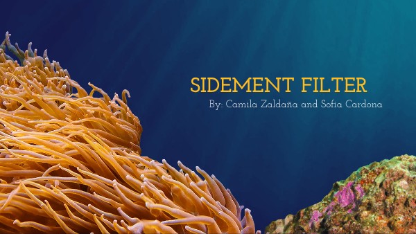 Sediment Filter | Genially