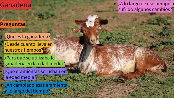 Profesiones de la Edad Media y actuales