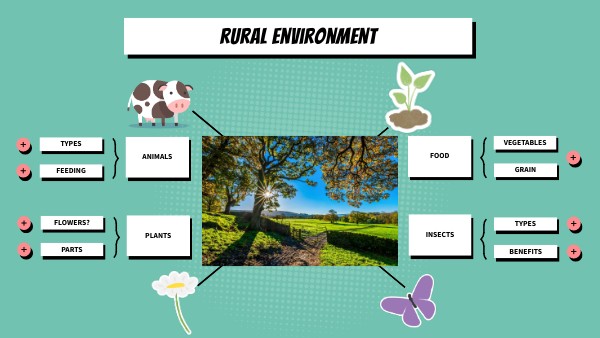 MAPA CONCEPTUAL - RURAL ENVIRONMENT