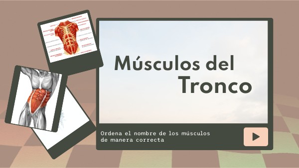 Tronco