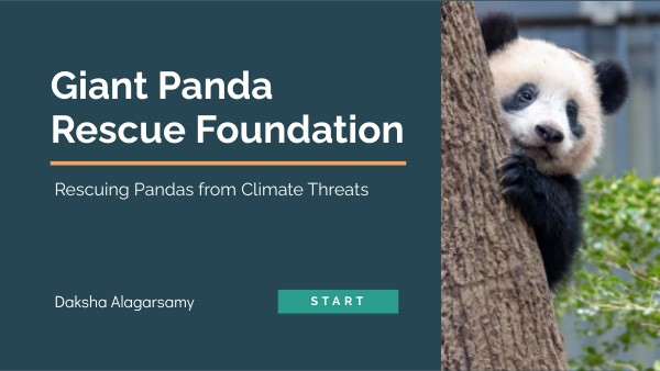 Giant Panda Rescue Foundation | Genially