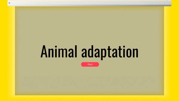 PROJECTION PRESENTATION