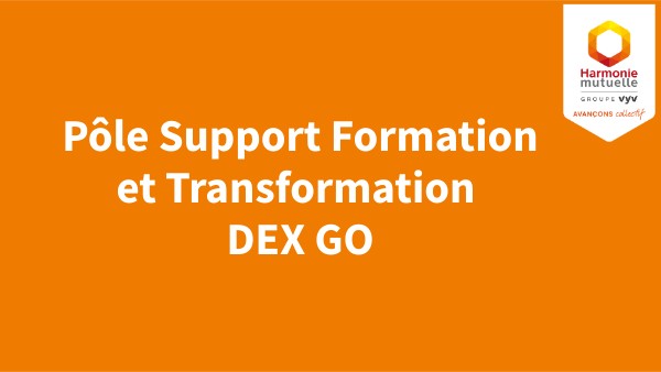 Pôle Support Formation DEX GO