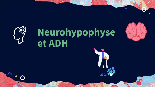 Neurohypophyse et ADH