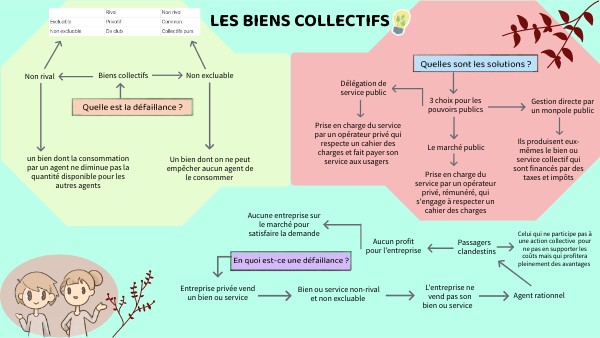 Les biens collectifs