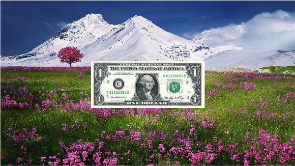 money simulator | Genially