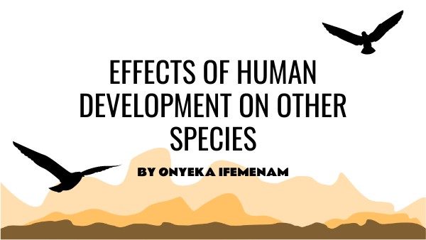 GP INDIVIDUAL REPORT