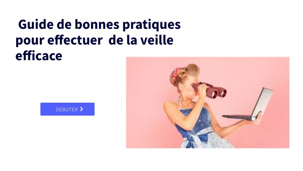 guide pratique veille
