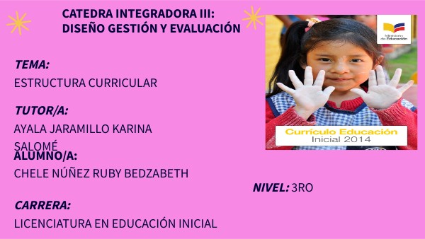 ESTRUCTURA CURRICULAR