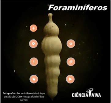 Cromo #10 -Foraminíferos | Genially