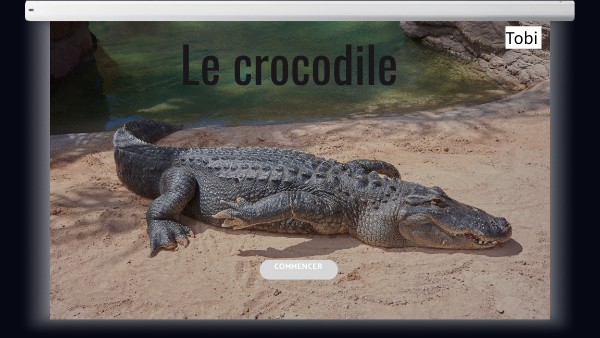 Le Crocodile | Genially