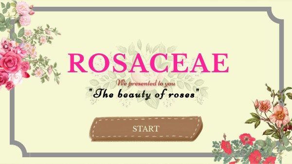 Rosaceae SBB3014