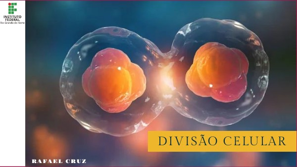 Mitose e meiose | Genially