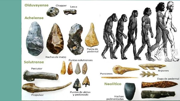 HERRAMIENTAS EN LA EVOLUCION HUMANA | Genially