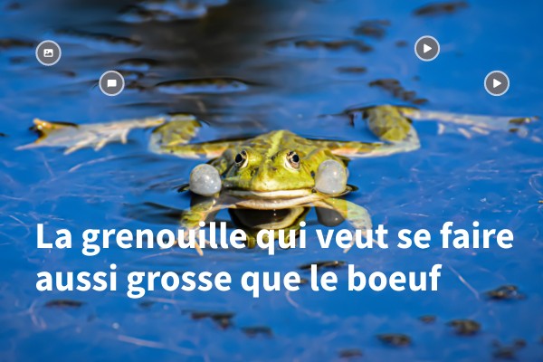 La grenouille et le boeuf