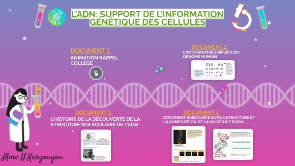 L’ADN, support de l’information génétique des cellules
