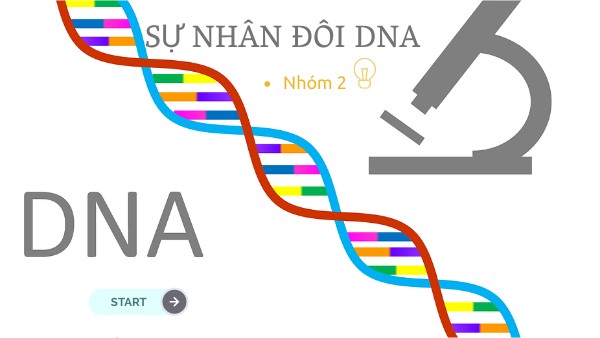 Sự Nhân Đôi DNA