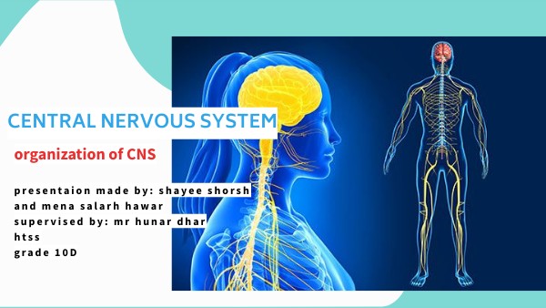 cns | Genially