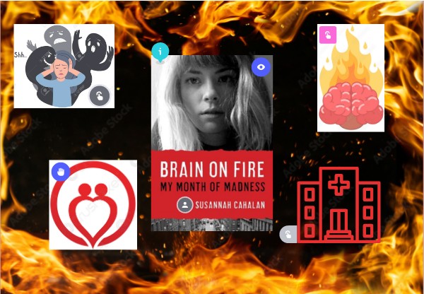 Jayde Lim- RUSH project, Brain on Fire