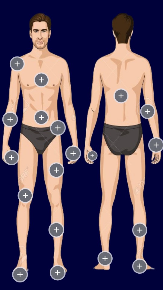 Parts of the body | Genially