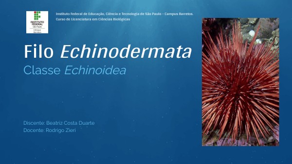 Echinodermata | Genially