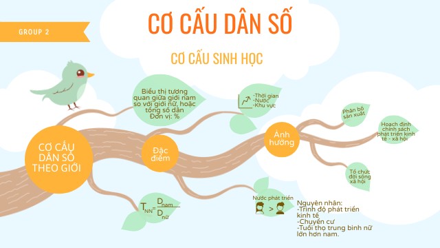 BRANCH LIST | Genially