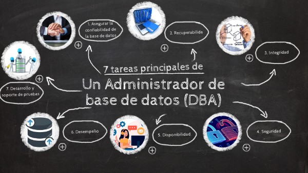Administrador de base de datos.