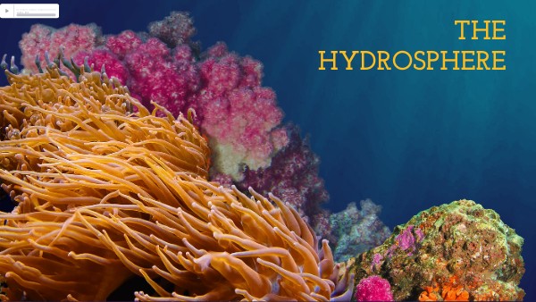 The hydrosphere!!!