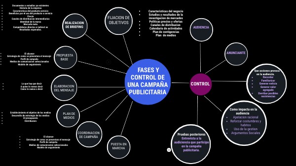 CIRCULAR CONCEPT MAP