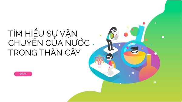 Tìm hiểu sự vận chuyển nước | Genially