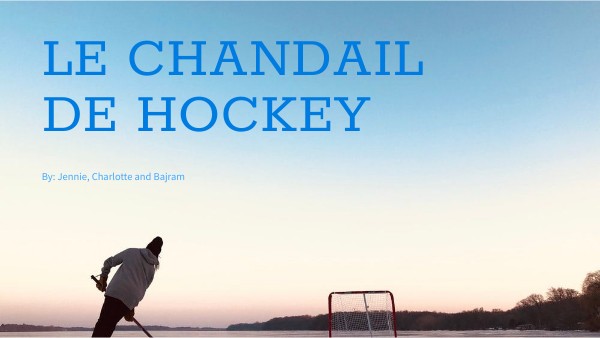 Le Chandail De Hockey