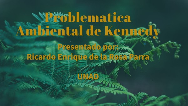 Problemática Ambiental Kennedy