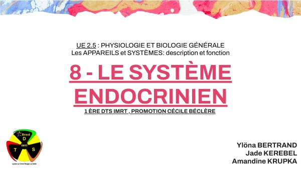 SYSTÈME ENDOCRINIEN | Genially