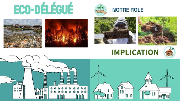 POLLUTION HORIZONTAL INFO