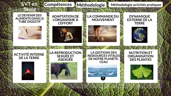 SVT en 5ème | Genially