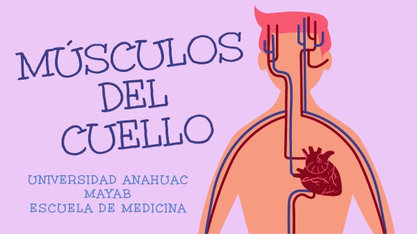 PRESENTACIÓN CUERPO HUMANO | Genially