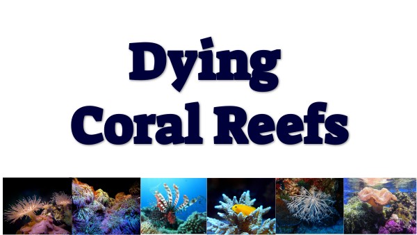 Dying Coral Reefs