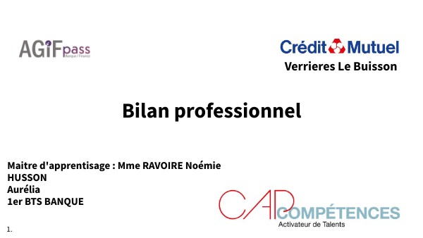 BILAN PROFESSIONNEL | Genially