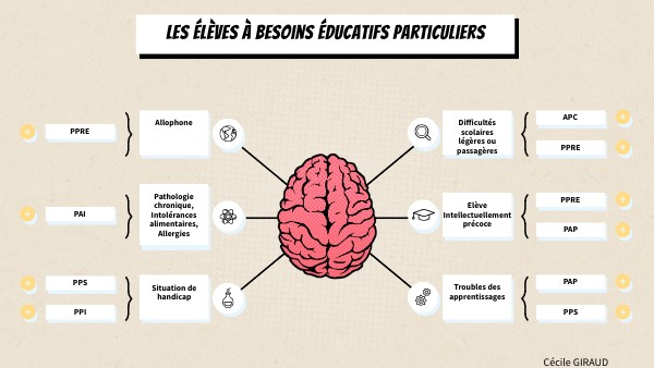 CARTE MENTALE ELEVE A BESOINS EDUCATIF | Genially