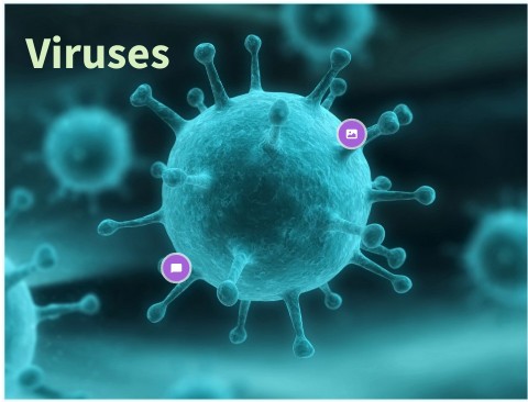 Viruses | Genially