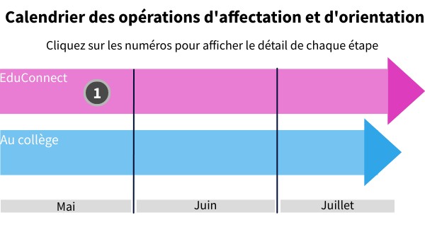 Calendrier affectation orientation