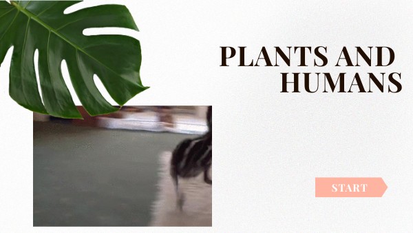 plants and humans | Genially