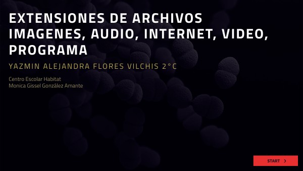 Extenciones de archivos | Genially