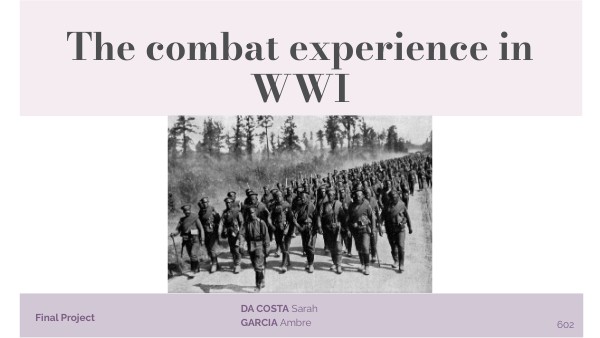 The combat experience in WWI