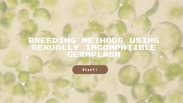 BREEDING METHODS USING SEXUALLY INCOMPATIBLE GERMPLASM