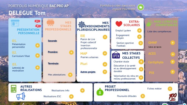 Tom - Portfolio Bac pro GMNF